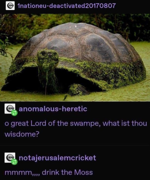 Memes of Stupid yet Funny Logic-LESS Humor for Tuesday Sucks Afternoon