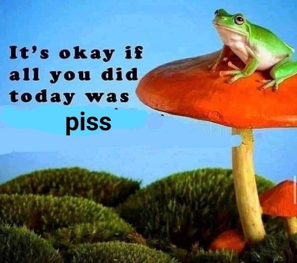 Memes of Stupid yet Funny Logic-LESS Humor for Tuesday Sucks Afternoon