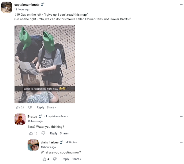 Top Comments will make you laugh, then cry, then laugh some more