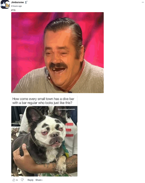 Top Comments will make you laugh, then cry, then laugh some more