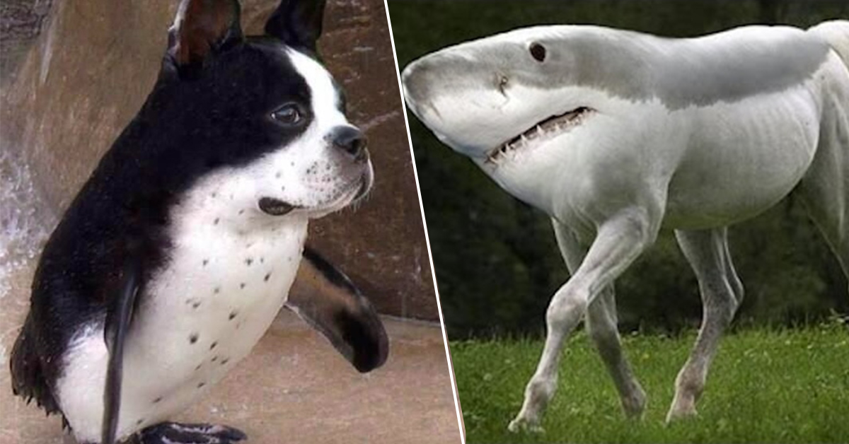 Cursed animal hybrids to fuel sweet, sweet nightmares