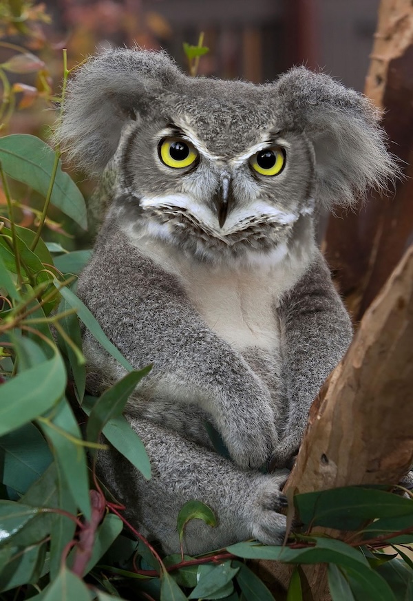 25 Animal Hybrids That Will Give You Nightmares After Seeing 8 I Can