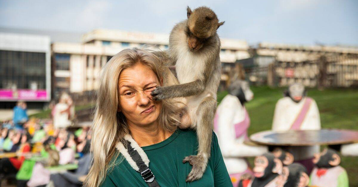 Funny Animal Pictures | Funny Pet Videos - theCHIVE