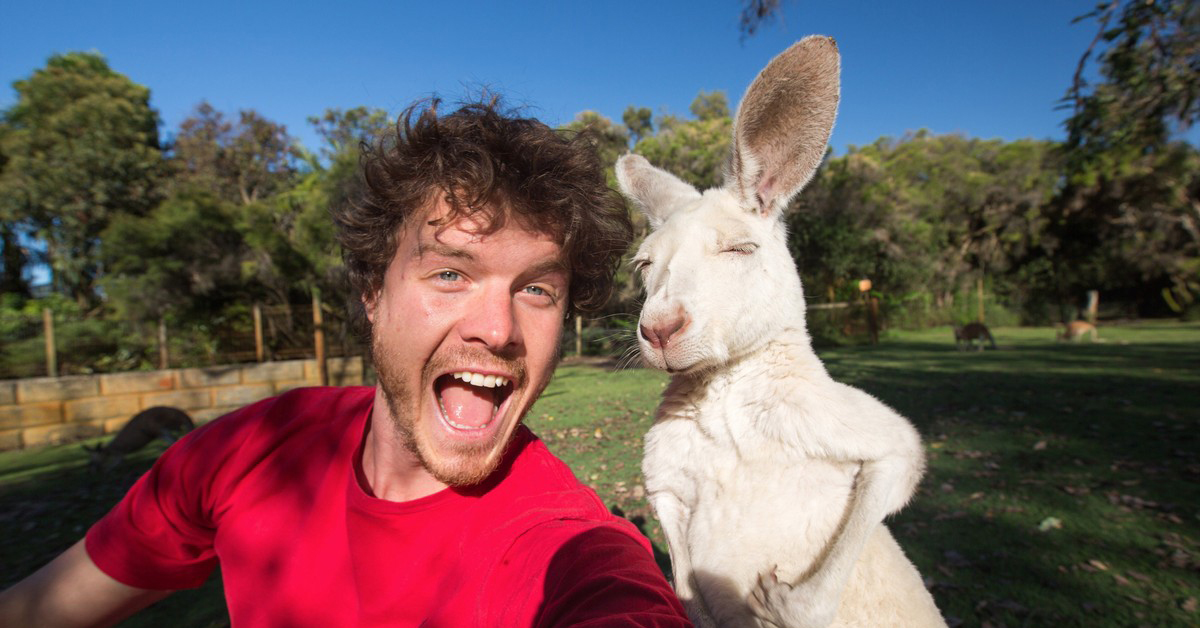 Funny Animal Pictures | Funny Pet Videos - theCHIVE