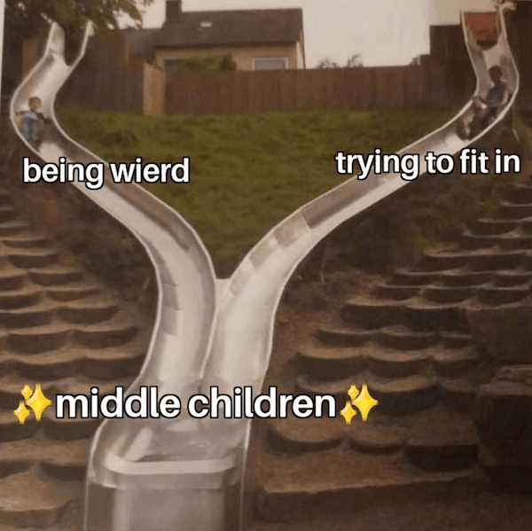 Middle child memes for the forgotten sibling