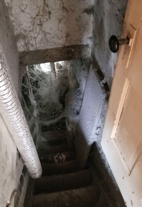 Creepy Basements Are Pure Nightmare Fuel