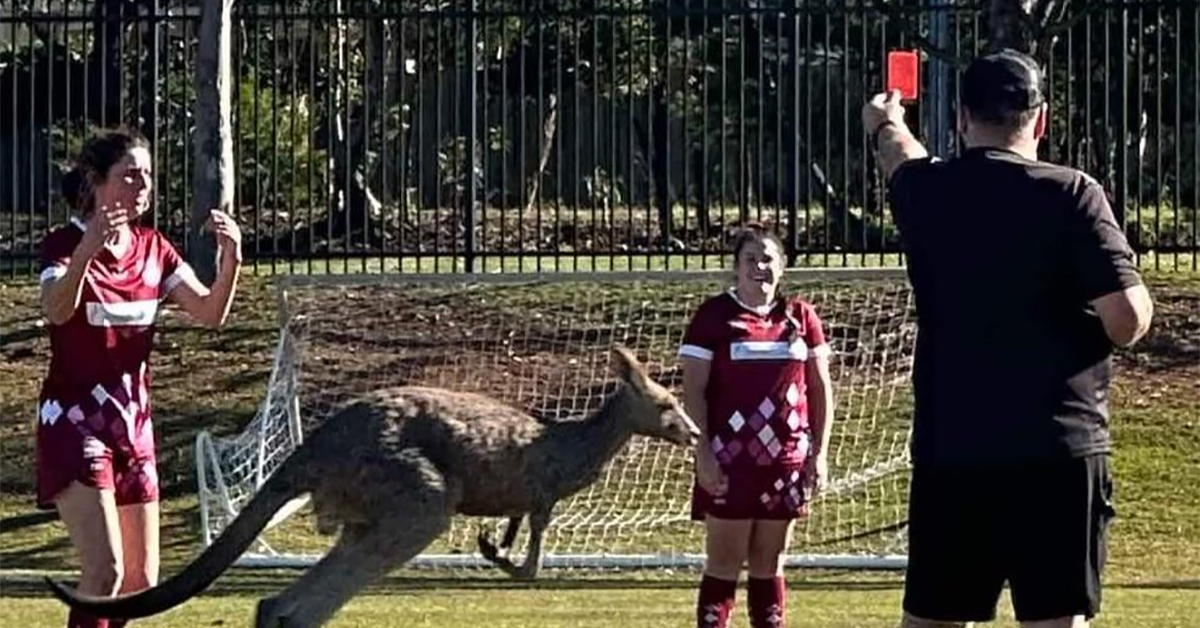 Daily Morning Awesomeness (45 Photos)