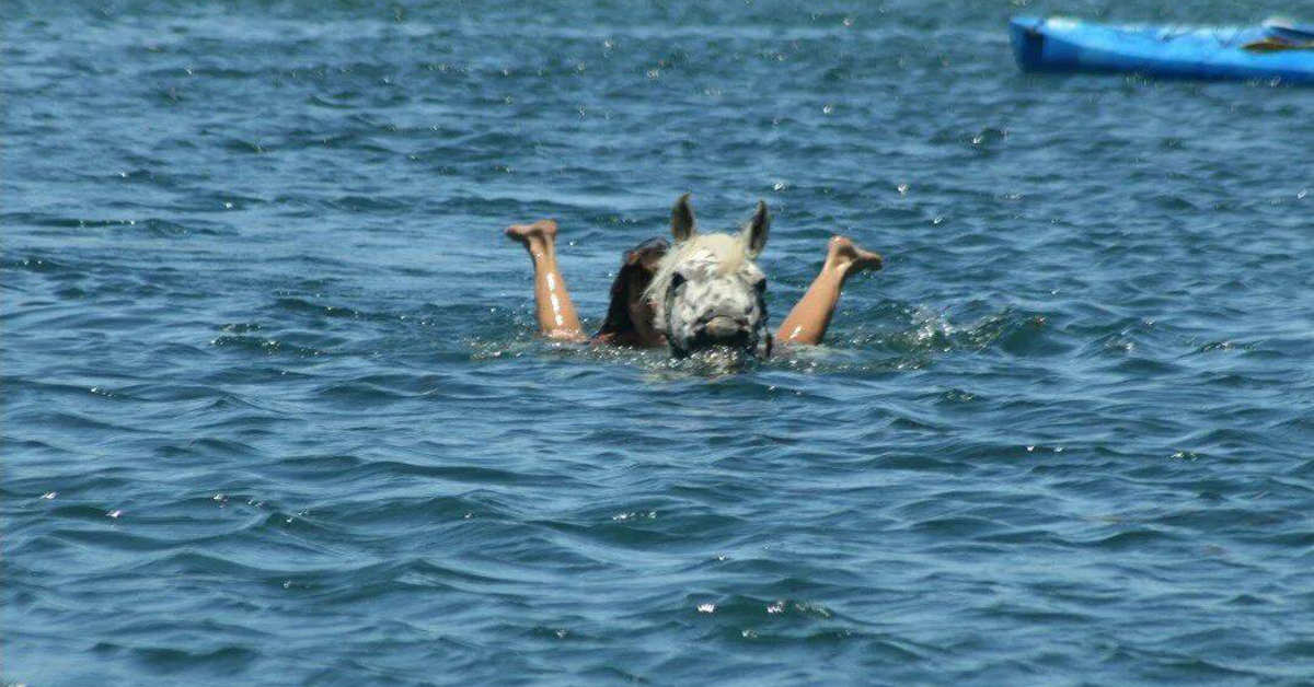 Daily Morning Awesomeness | Awesome Morning Pics, Gifs & More - theCHIVE