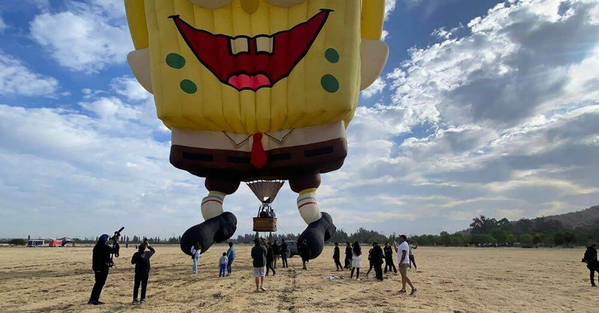 Daily Morning Awesomeness | Awesome Morning Pics, Gifs & More - theCHIVE