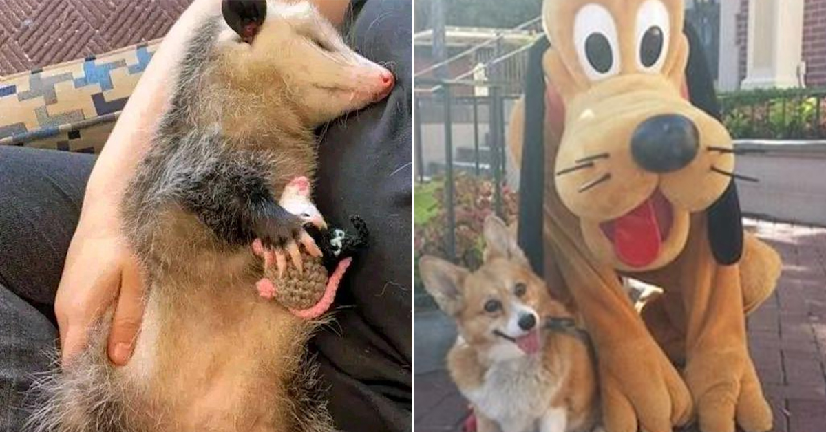 Here's some eye bleach to help get you through the day