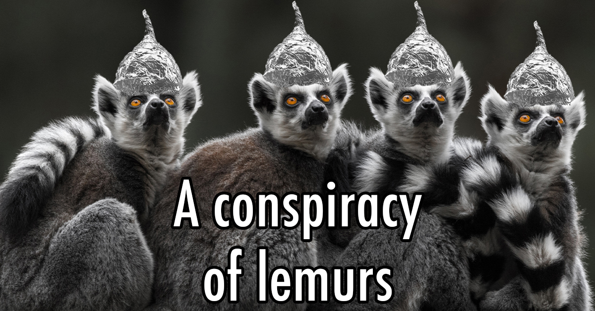 Whoever named groupings of animals was a bit of a weirdo