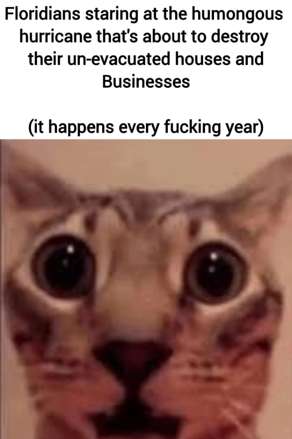 Take it Easy With the Dank Memes