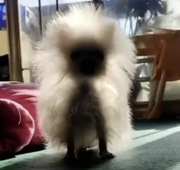 Whoa Whoa Whoa, Wait a Minute!