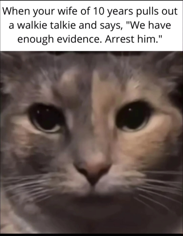 A Stanky Dose of Dank Memes