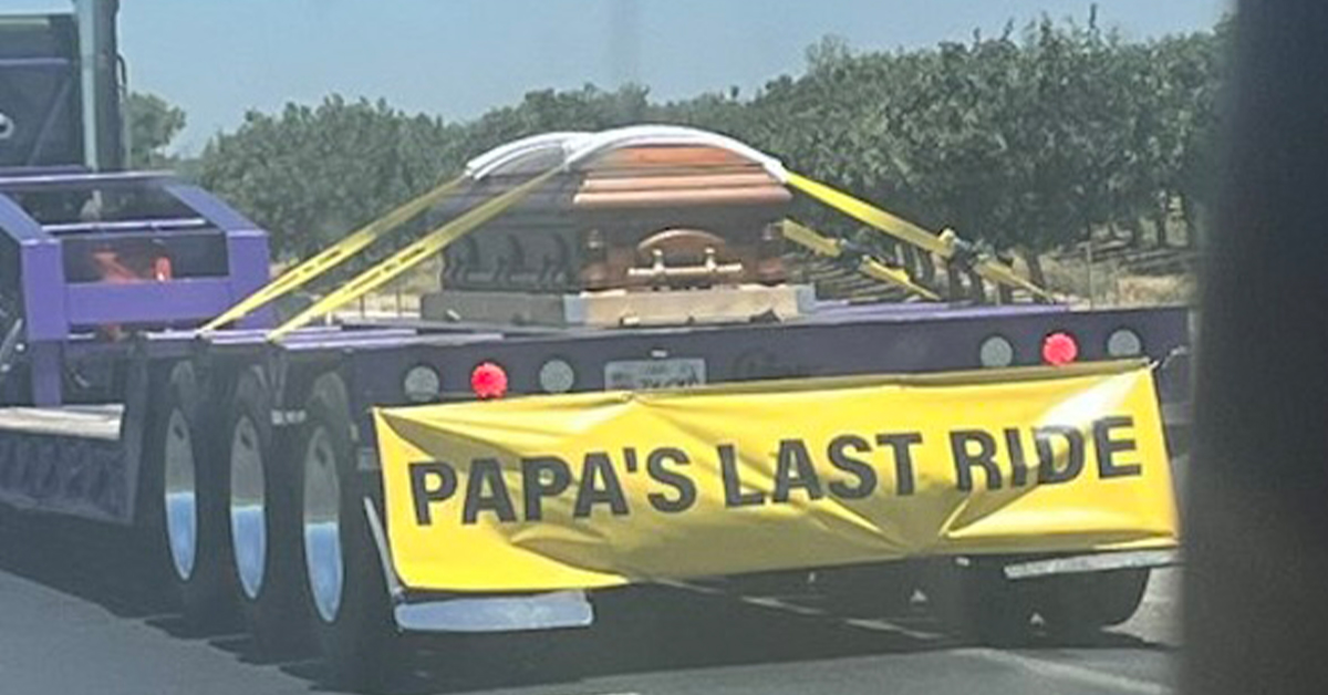 Daily Afternoon Randomness | Random Memes, Photos & Gifs - theCHIVE