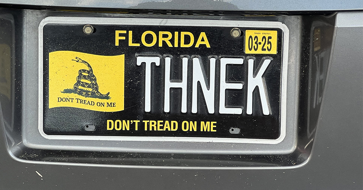 Daily Afternoon Randomness | Random Memes, Photos & Gifs - theCHIVE