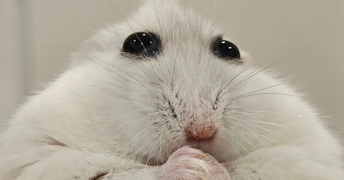 DAR: Daily Afternoon Randomness - Cool Pics :theCHIVE