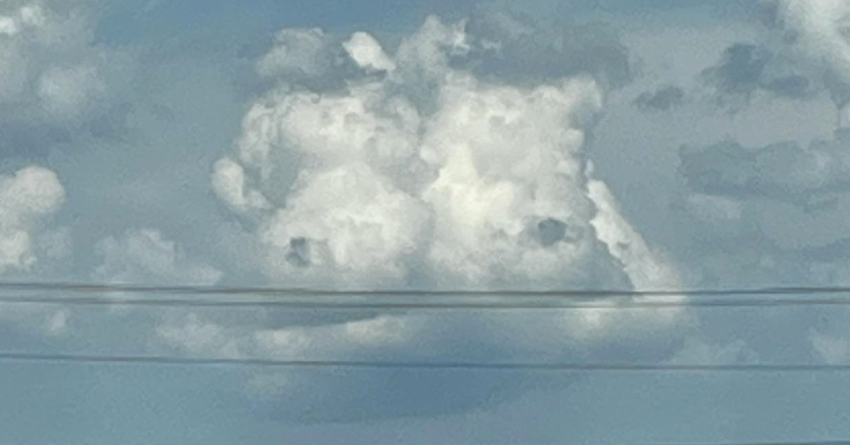 Daily Afternoon Randomness | Random Memes, Photos & Gifs - theCHIVE