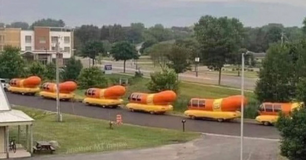 DAR: Daily Afternoon Randomness - Cool Pics :theCHIVE