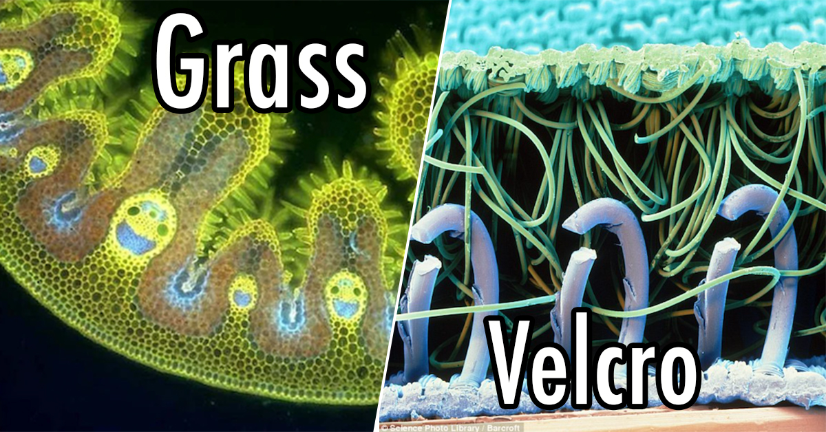 Every day things under a microscope sure are a sight to behold