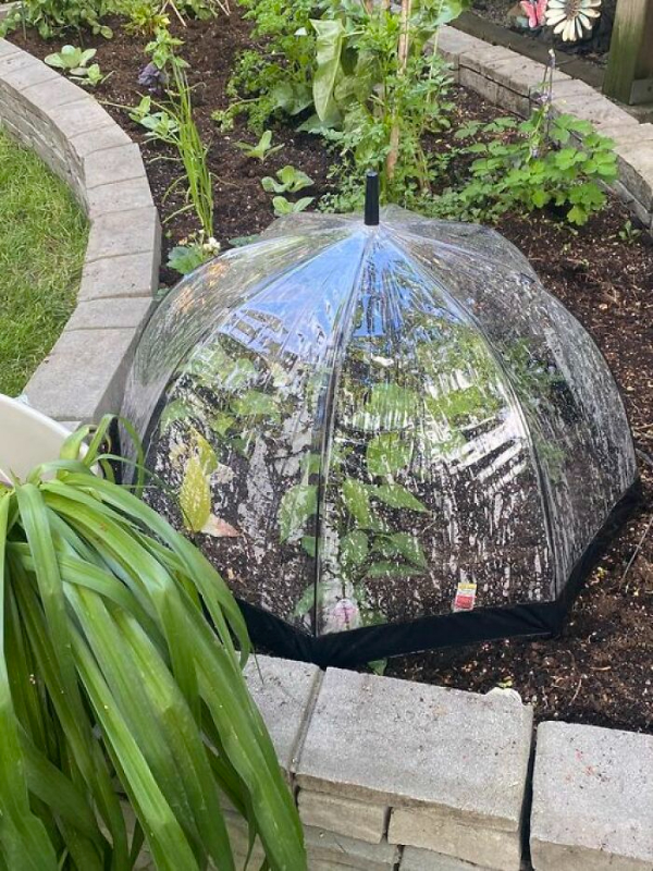 These Repurposed Items Are Awesome