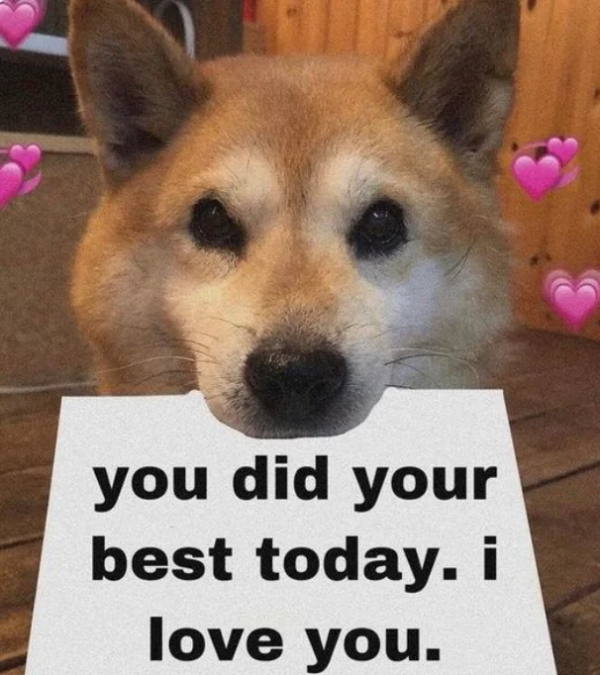 Your Weekly Wholesome Happy Funnies