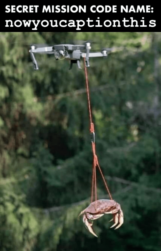 NAILed IT Memes of All the Mindless Dumb Logic Best Caption Pictures