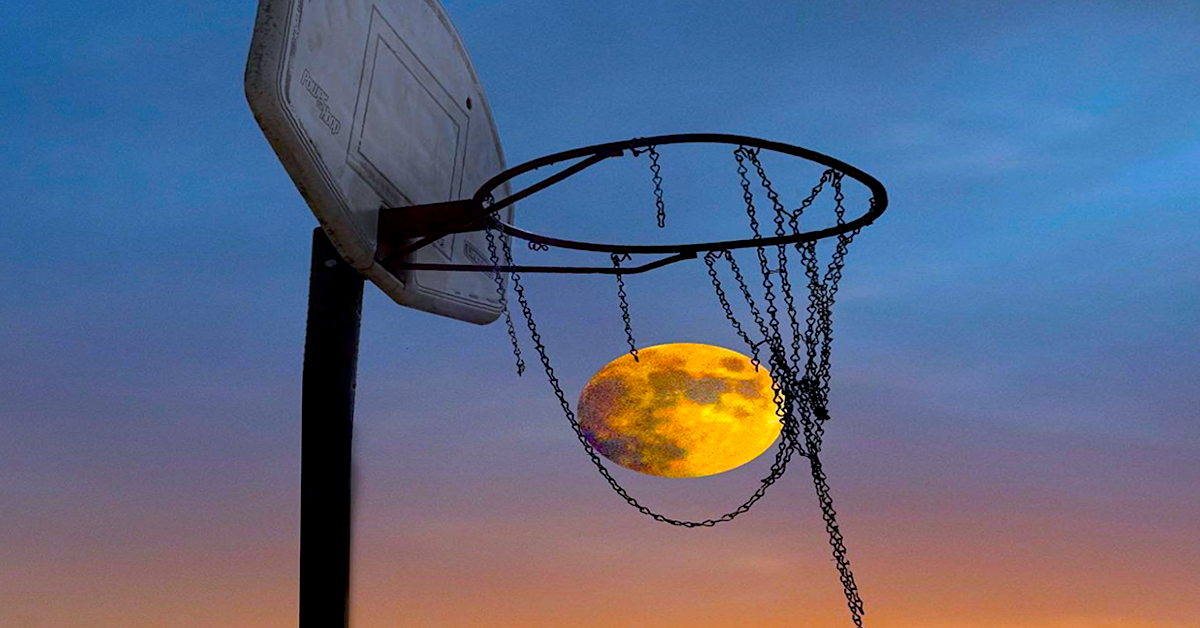 Daily Afternoon Randomness | Random Memes, Photos & Gifs - theCHIVE