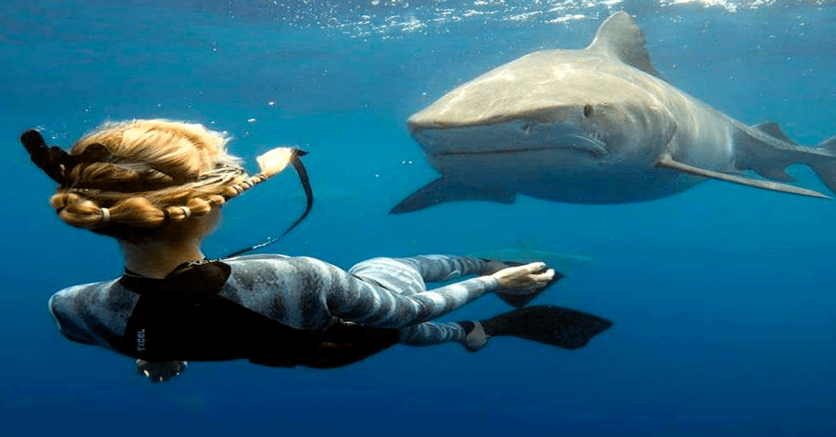 Daily Afternoon Randomness | Random Memes, Photos & Gifs - theCHIVE