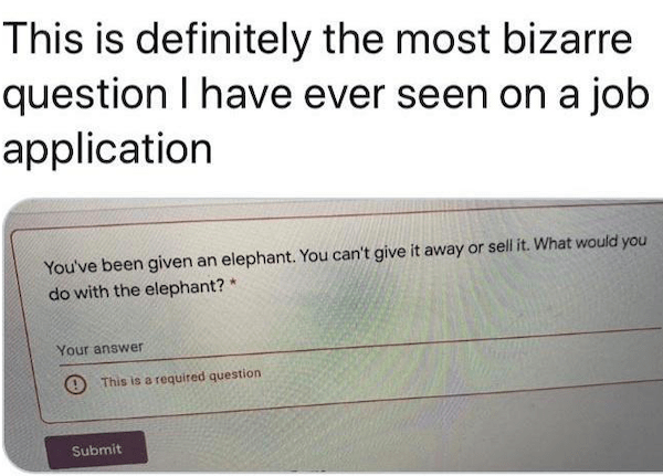 GIFs of Mind-LESS morning Memes are Funny Stupid yet Too TRUE