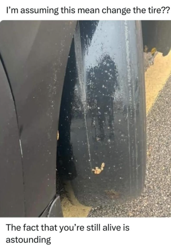 GIFs of Mind-LESS morning Memes are Funny Stupid yet Too TRUE