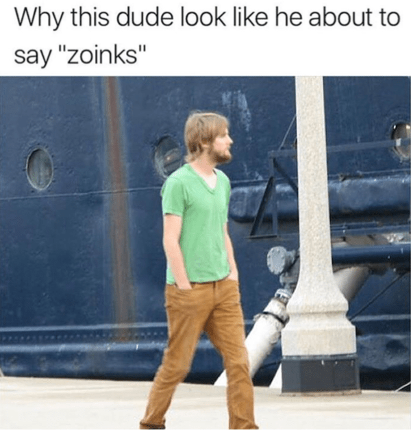 Memes Not Wrong just Stupid yet Simple Logic with a Little Wisdom