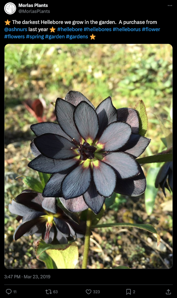 We couldn't help but notice these strange and interesting plants