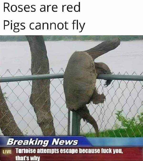 PG-13 Memes for Dirty Minded R-rated Pictures SFW funny Photo Captions