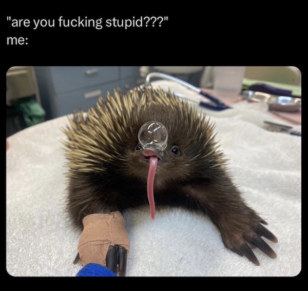 PG-13 Memes for Dirty Minded R-rated Pictures SFW funny Photo Captions