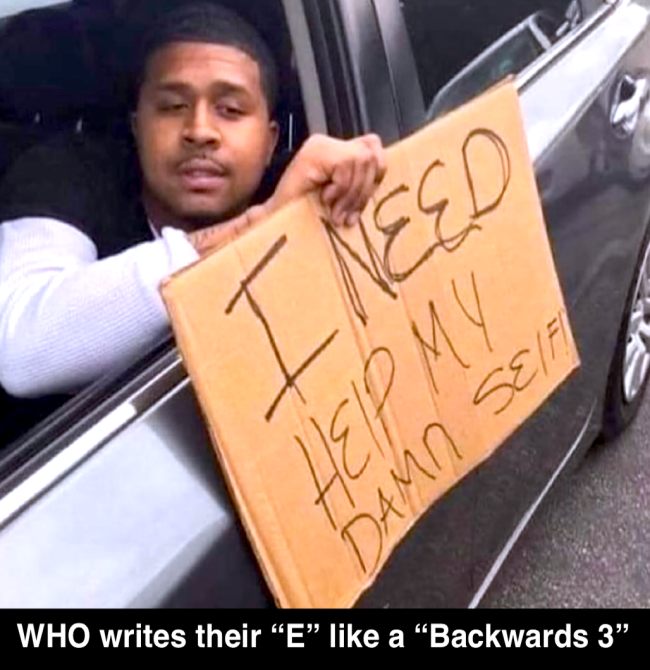 NAILed IT Memes of All the Mindless Dumb Logic Best Caption Pictures