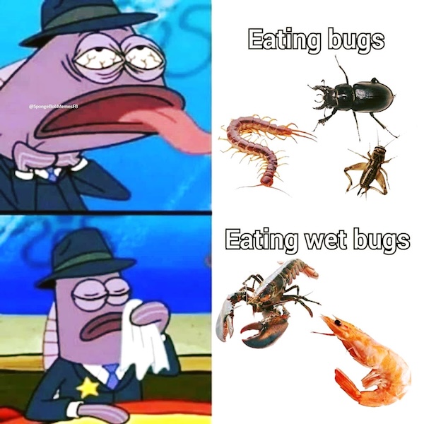 SpongeBob memes are more universal than they should be