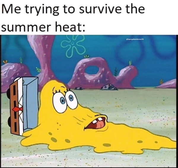 SpongeBob memes are more universal than they should be