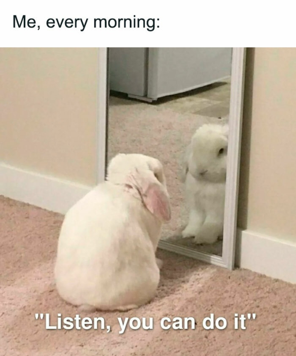 ‘You Can Do It!” Memes We All Need Right Now