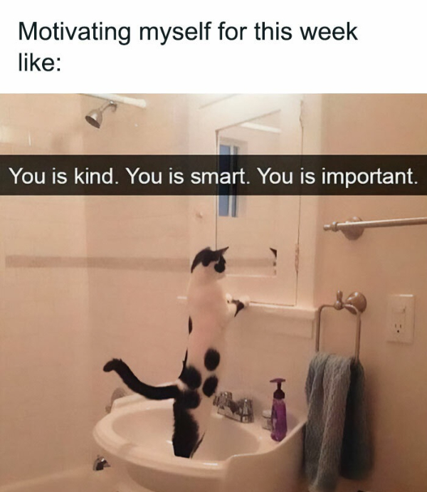 ‘You Can Do It!” Memes We All Need Right Now