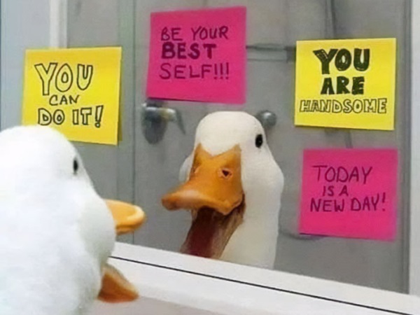 ‘You Can Do It!” Memes We All Need Right Now