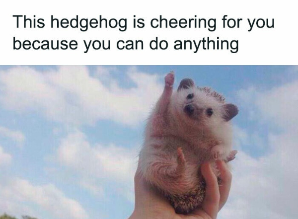 ‘You Can Do It!” Memes We All Need Right Now