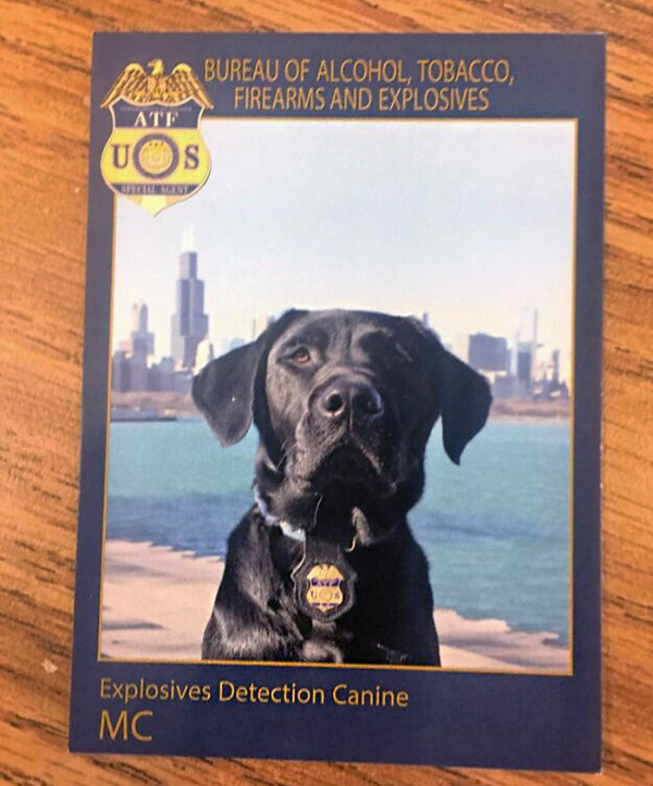 Business Cards That Would Have Patrick Bateman Sweating