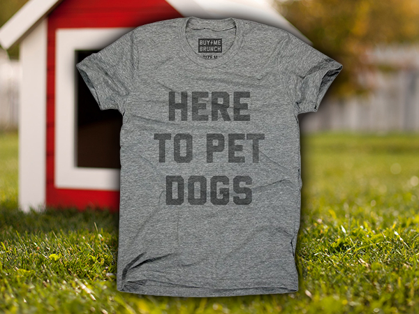 Concerned dogs are my new hilariously adorable obsession