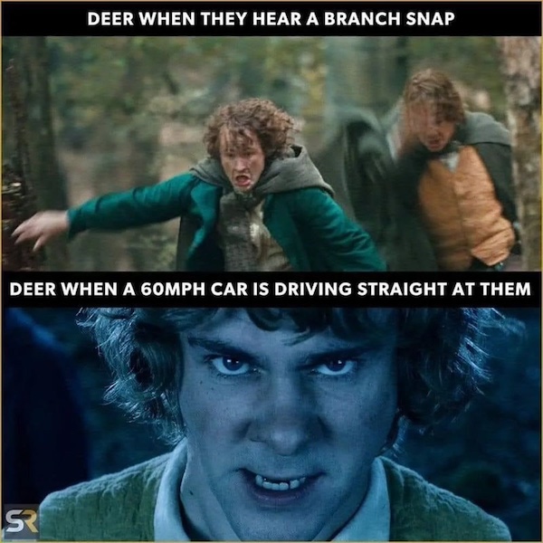 LOTR memes are for those out there who desire the Middle Earth life