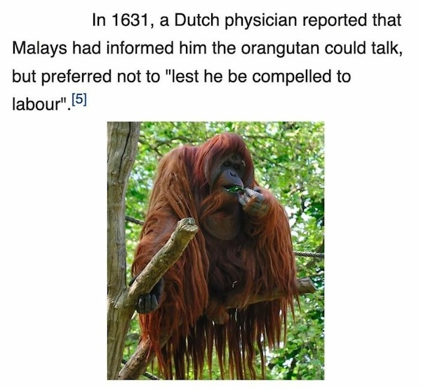 The "Depths of Wikipedia" go to only strange places