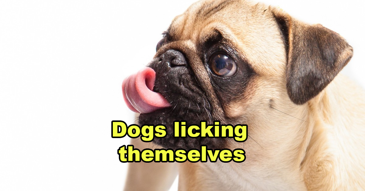 Natural sounds that absolutely disgust us all to hear