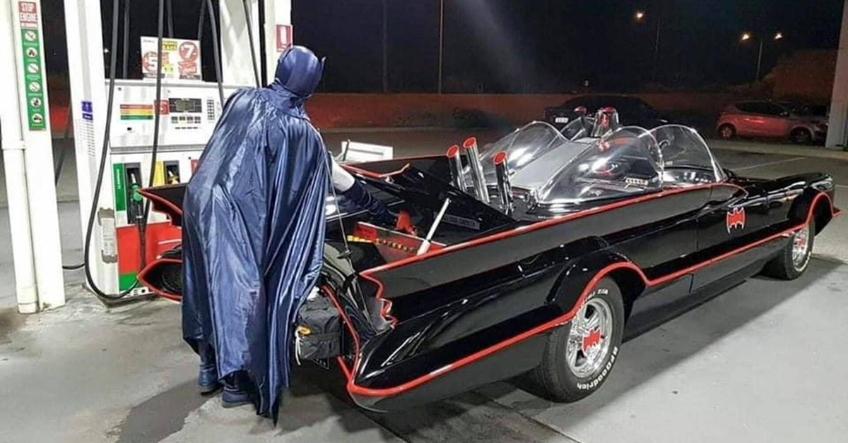 Daily Morning Awesomeness | Awesome Morning Pics, Gifs & More - theCHIVE