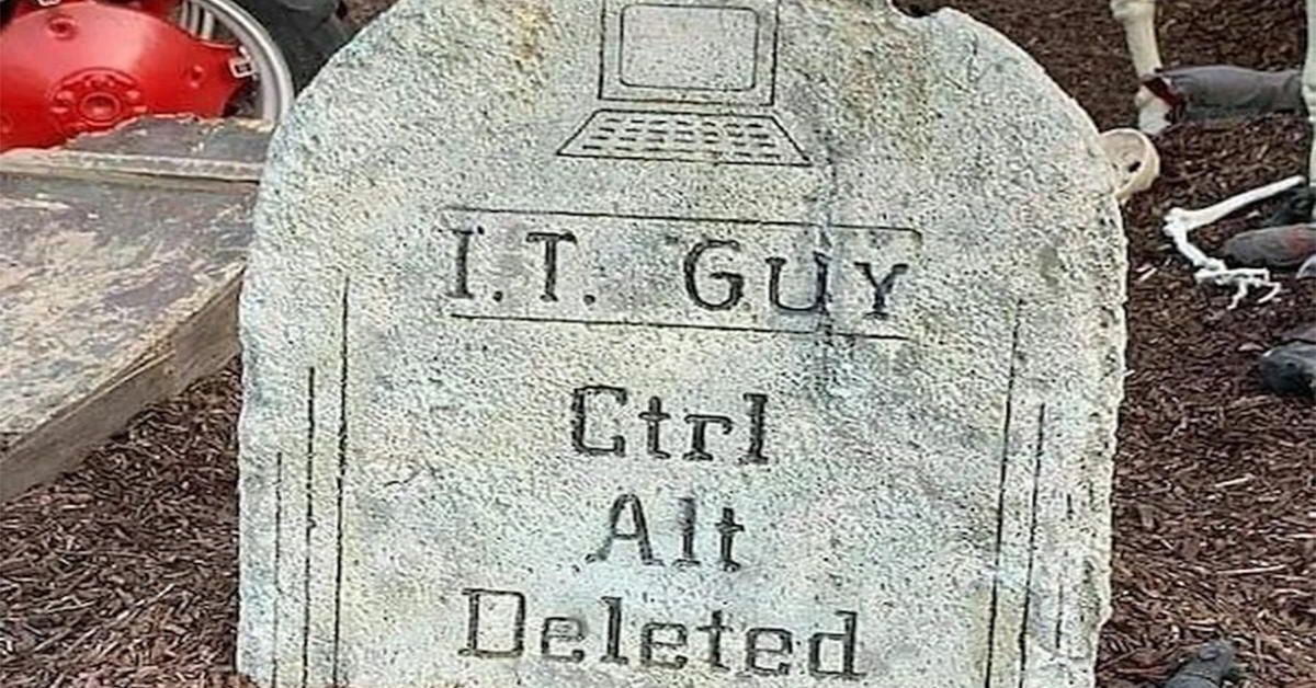 Daily Afternoon Randomness | Random Memes, Photos & Gifs - theCHIVE