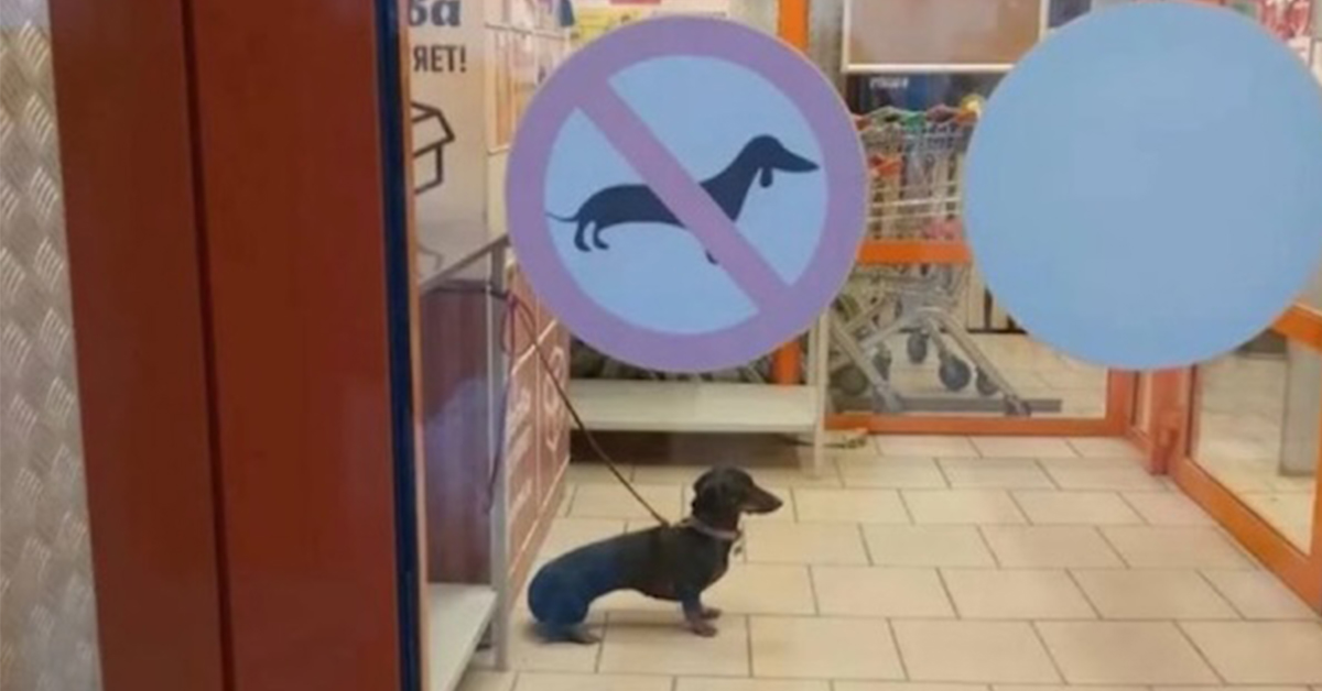 Daily Afternoon Randomness | Random Memes, Photos & Gifs - theCHIVE